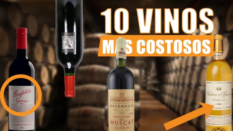 Descubre el Vino Más Caro de la Historia: Un Viaje por la Exclusividad ...