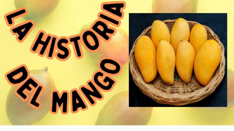 La Historia del Mango: Orígenes, Cultivo y Curiosidades de esta Fruta ...